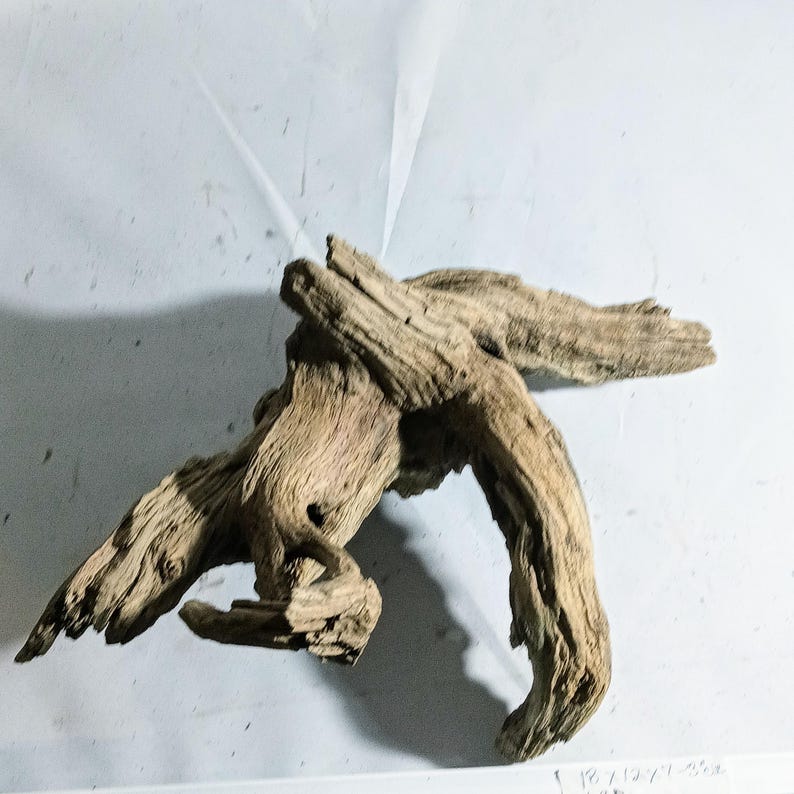 Large Driftwood for Art, Aquarium, Atrium, Centerpiece, Sculpture ...