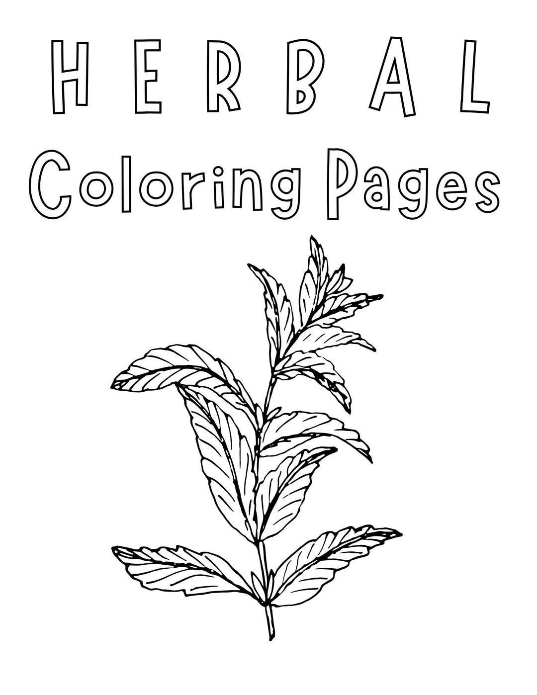 Herbal Coloring Pages | Printable Herbal-based Coloring Sheets for Kids ...