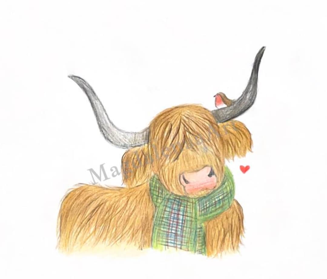 Highland Cow Drawing - Print - Etsy UK