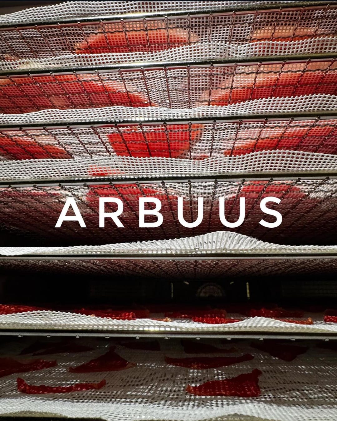 Dried Watermelon Chips | 100% Natural Fruit Snack | Vegan, No Sugar ...