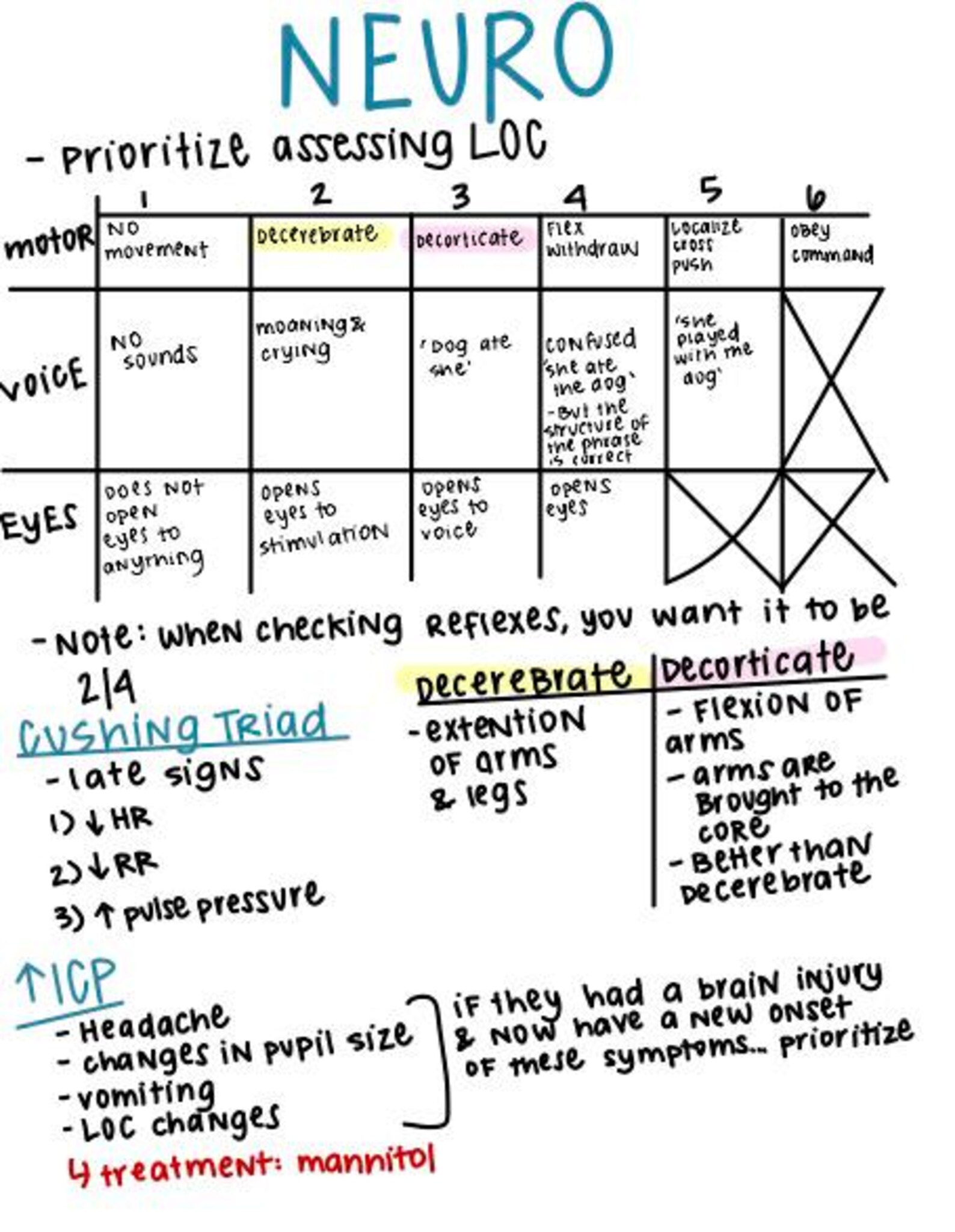 NCLEX Study Notes Learn RN - Etsy