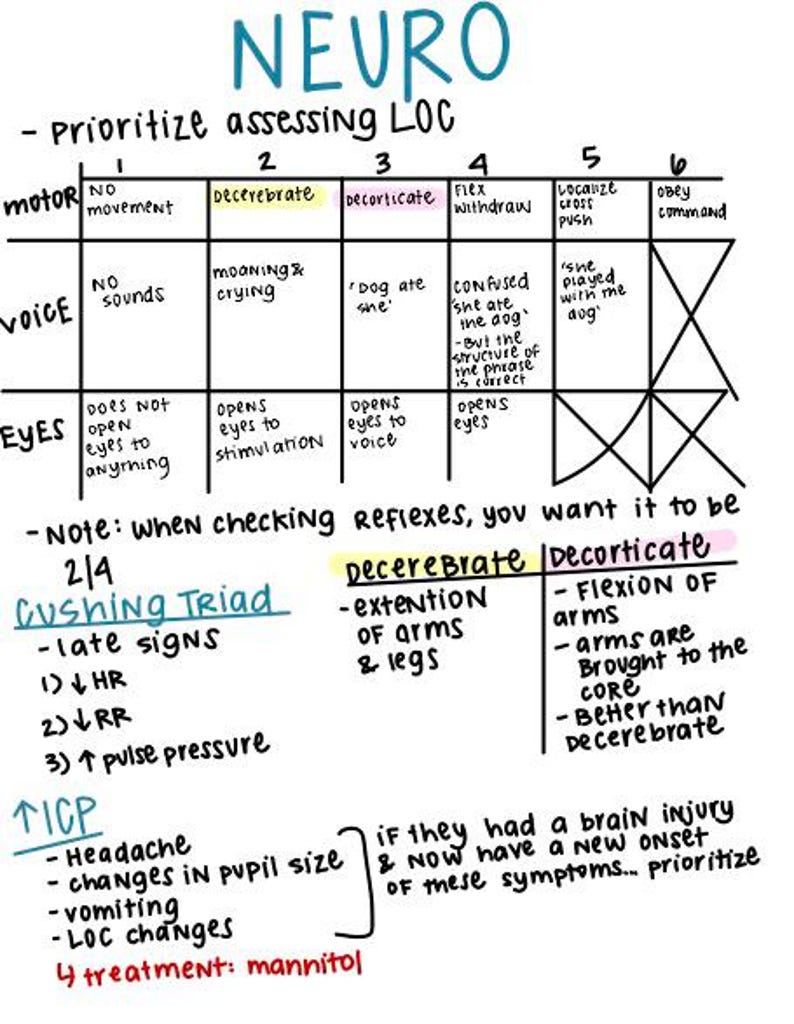 NCLEX Study Notes Learn RN - Etsy