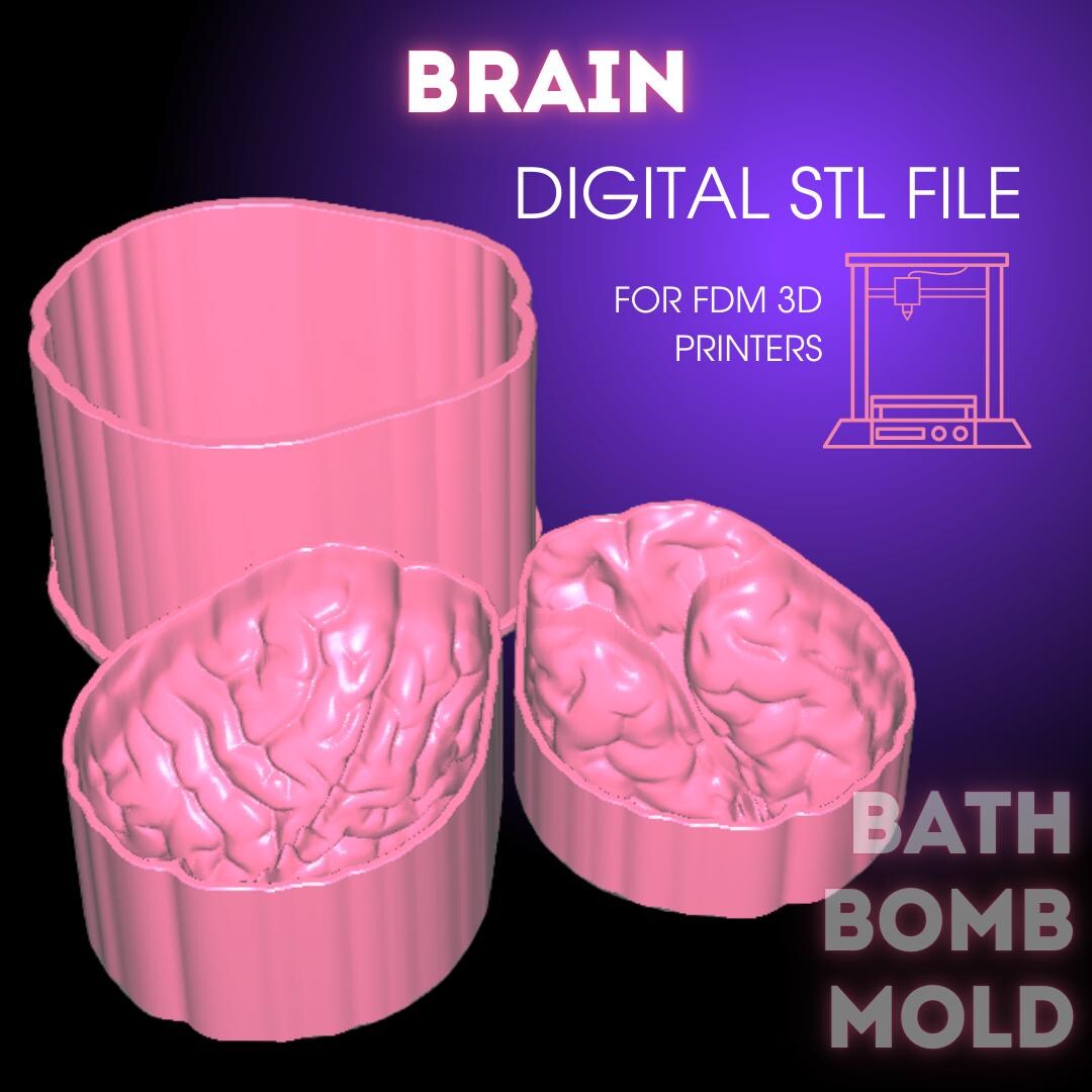 Brain Bath Bomb Mold STL File 3D Print Digital Download for FDM Printers Unique Soap Making Tool ...