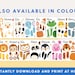 15 Cut and Paste Animals | Cut Out and Glue Activity | Printable Animal ...