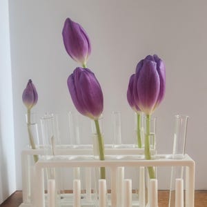 Vintage Test Tube Rack, Repurposed Vase/test Tube Flower Vase/unique ...