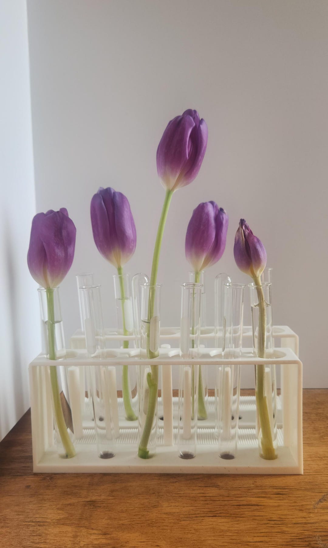 Vintage Test Tube Rack, Repurposed Vase/test Tube Flower Vase/unique ...