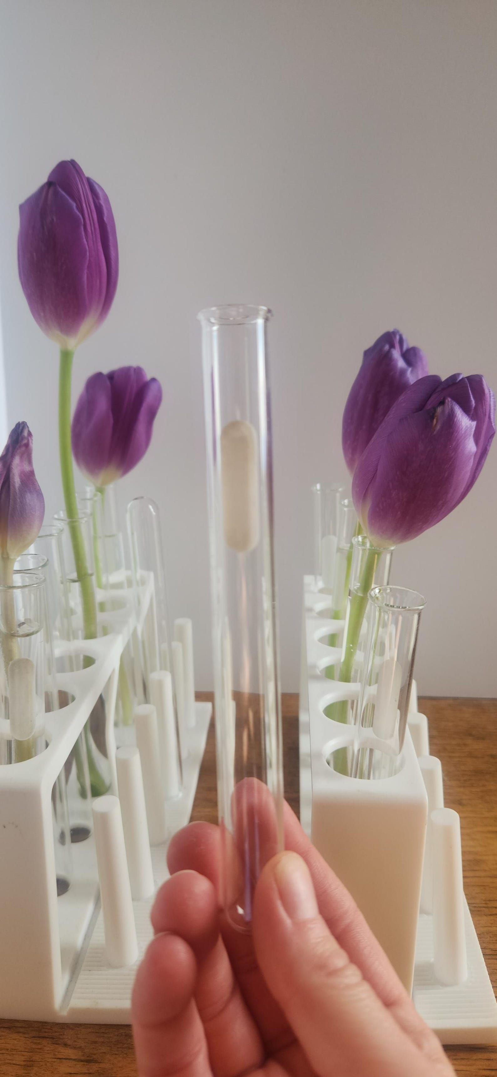 Vintage Test Tube Rack, Repurposed Vase/test Tube Flower Vase/unique ...