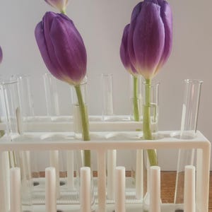 Vintage Test Tube Rack, Repurposed Vase/test Tube Flower Vase/unique ...
