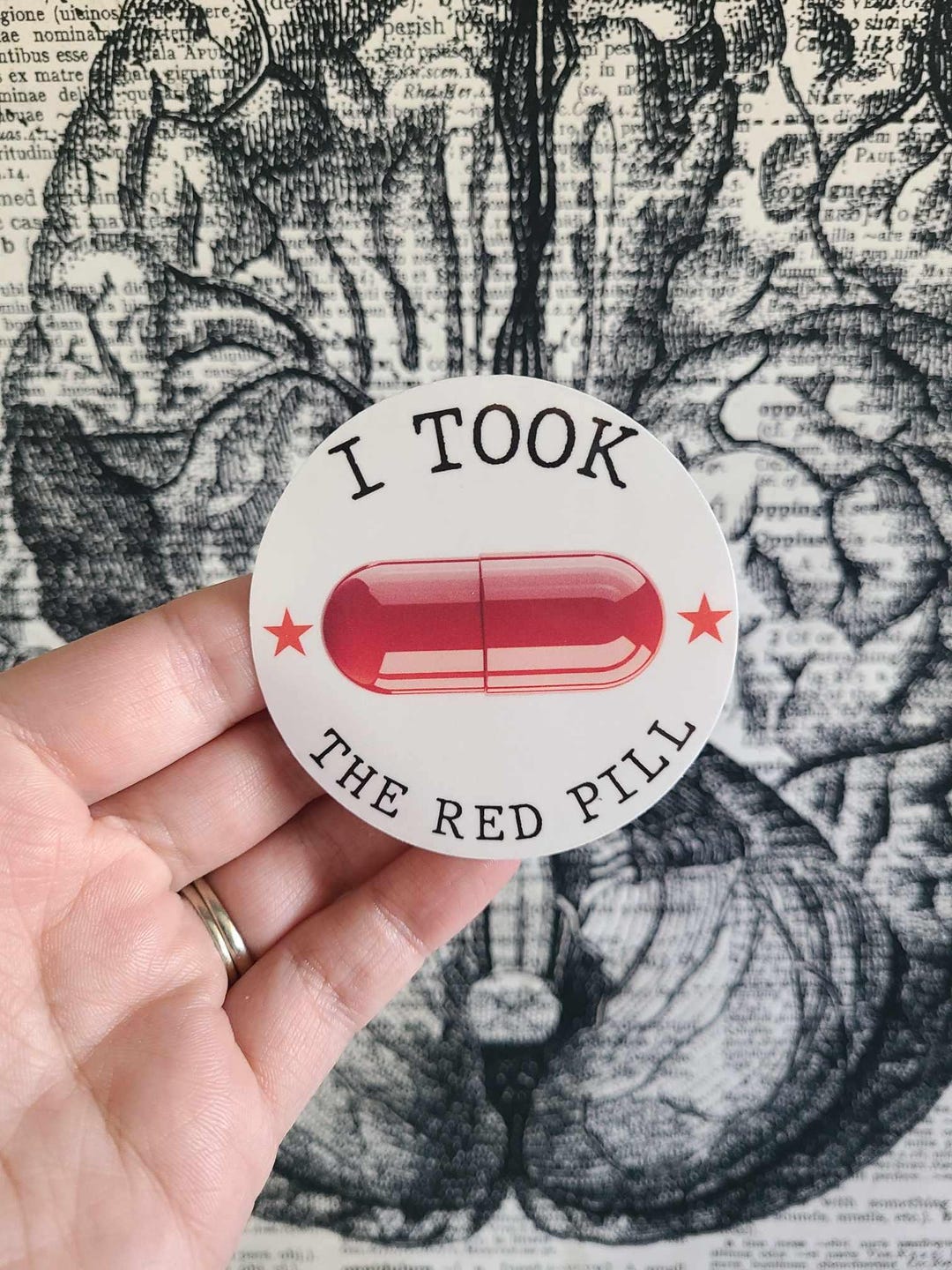 I Took the Red Pill Sticker, Conspiracy Themed Decal, Truth Seeker ...