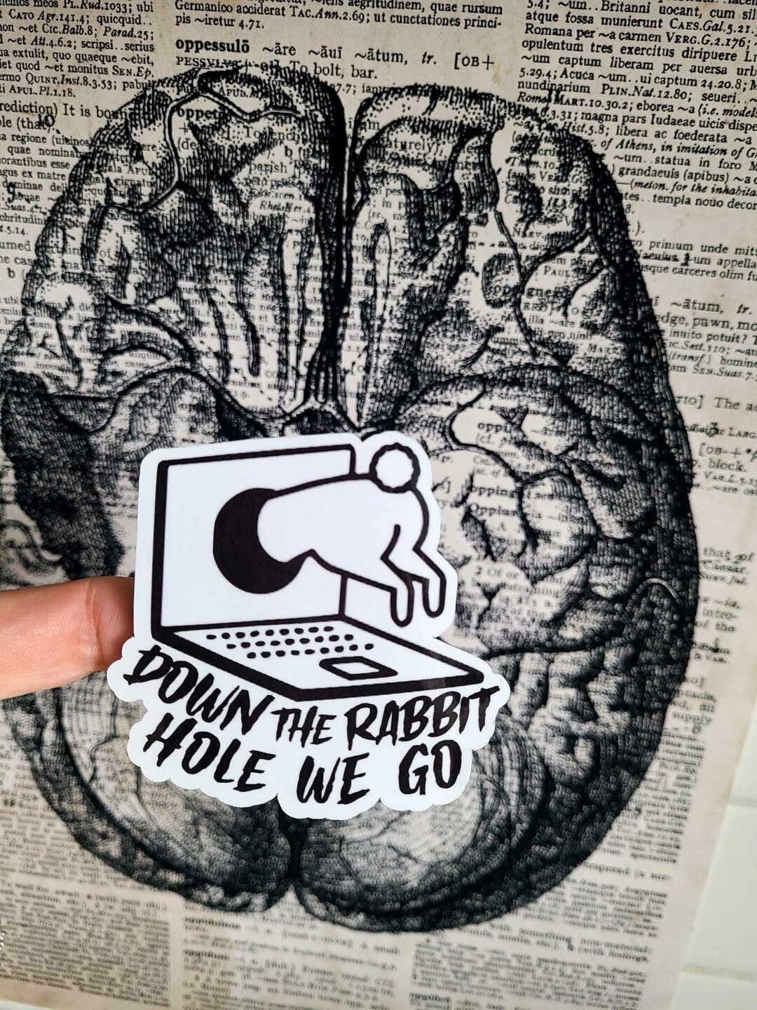 Down the Rabbit Hole We Go Sticker, Conspiracy Themed Decal, Truth ...
