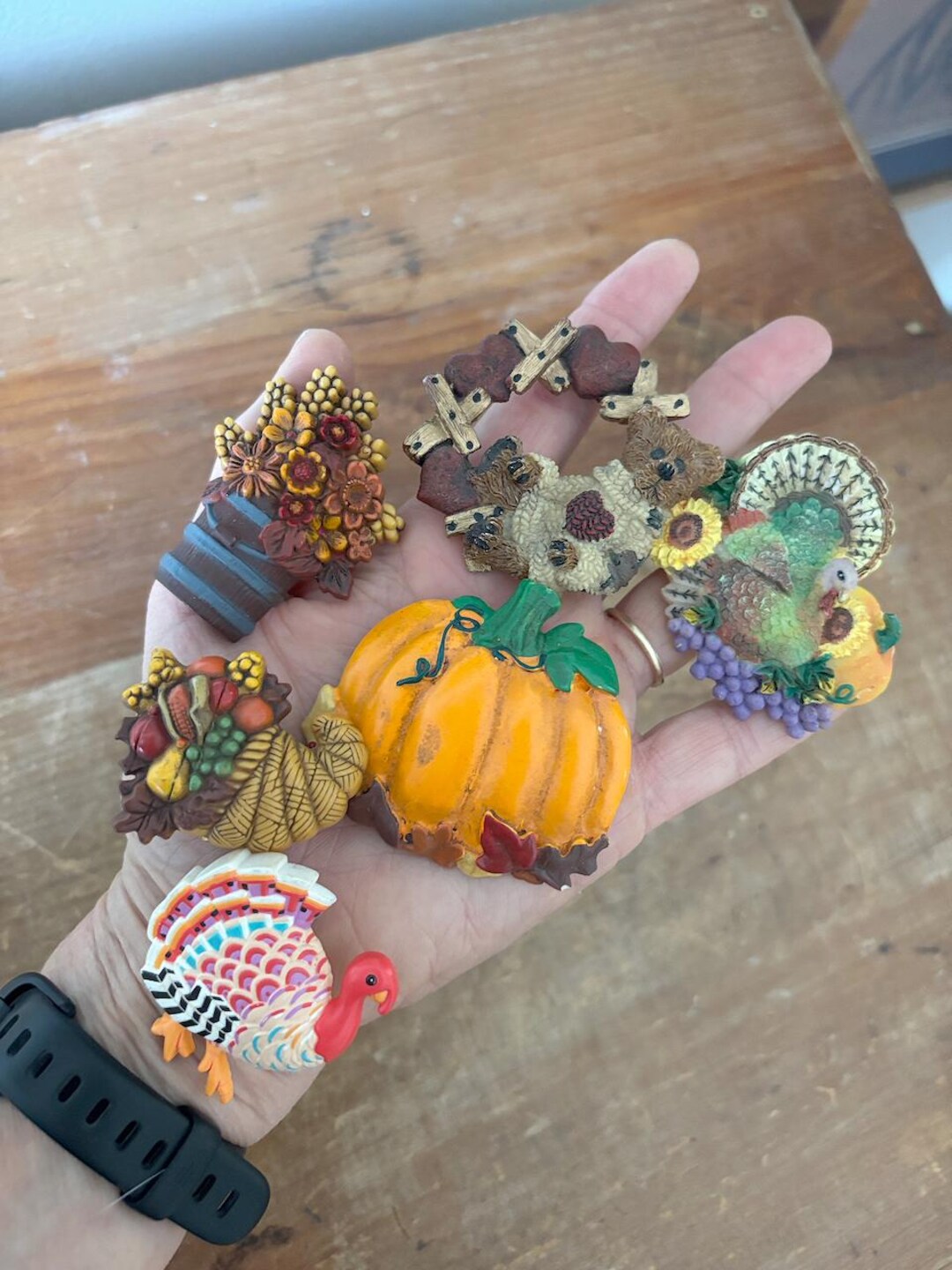 Vintage Harvest Brooches Thanksgiving Autumn Autumnal Jewelry Acrylic ...