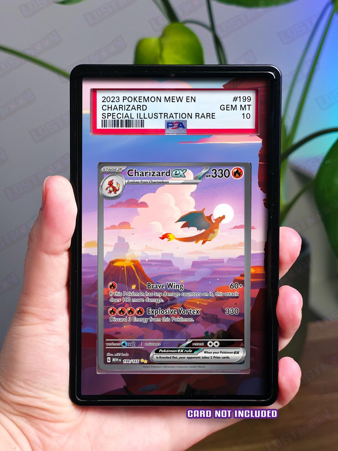 Charizard Pokemon Custom Pokémon Slab Display Art Insert - Etsy