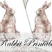 Rabbit Printable for Cards Journals Crafts*side Views*small Medium ...
