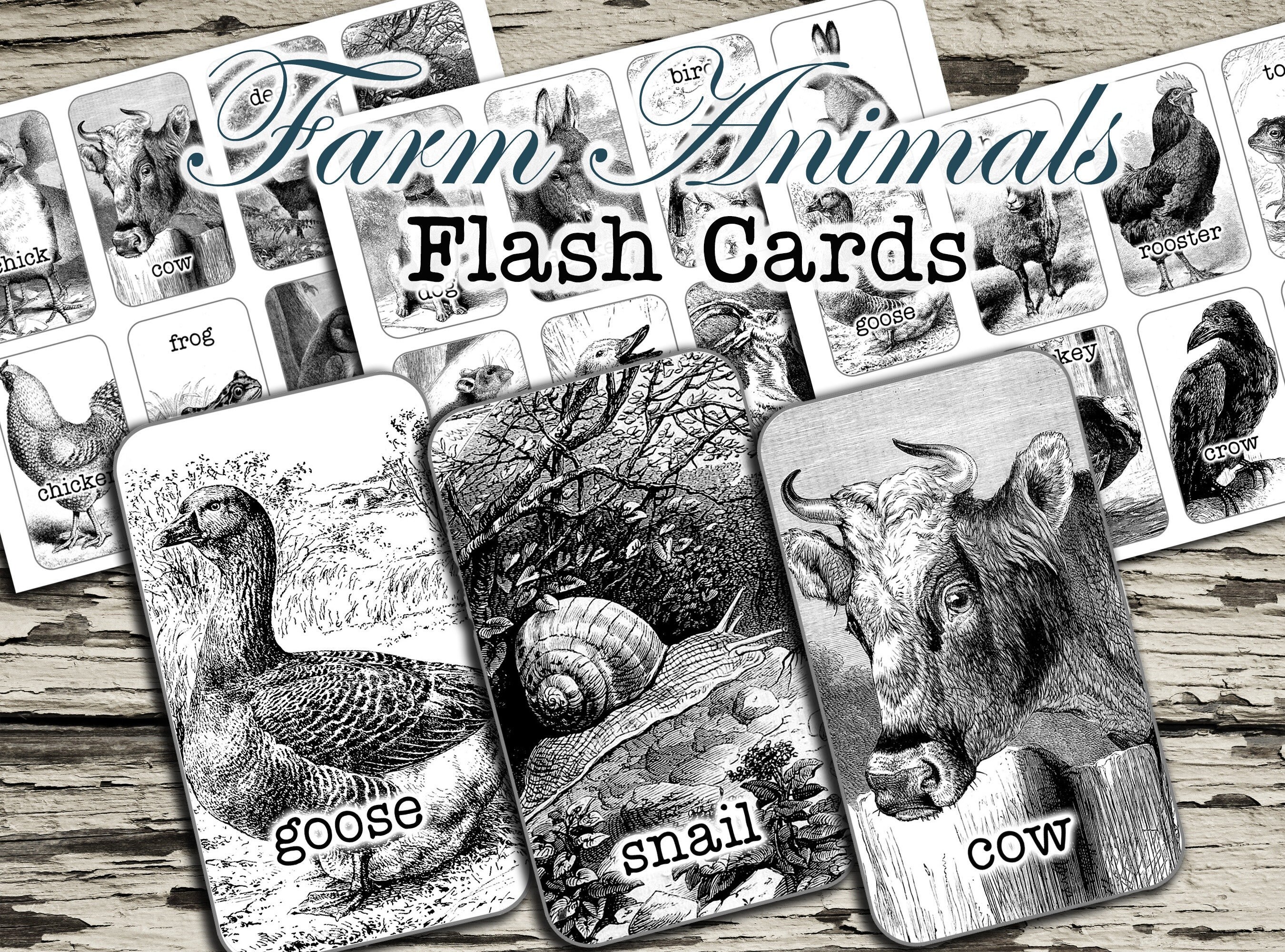 Farm Animal Flash Cards PRINTABLE Preschool Kindergarten Activity ...
