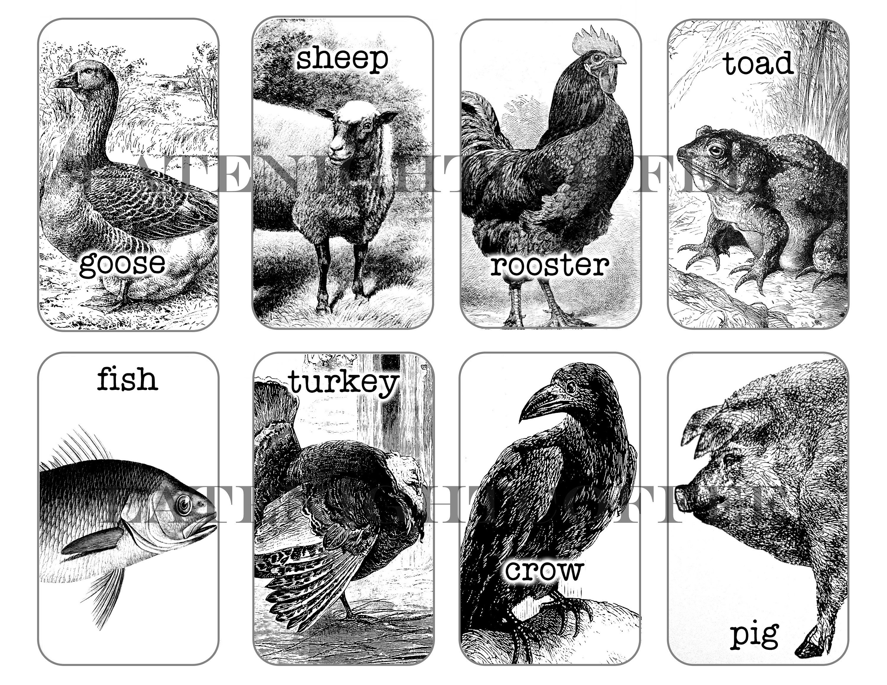 Farm Animal Flash Cards PRINTABLE Preschool Kindergarten Activity ...