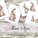 Rabbit Printable for Cards Journals Crafts*side Views*small Medium ...