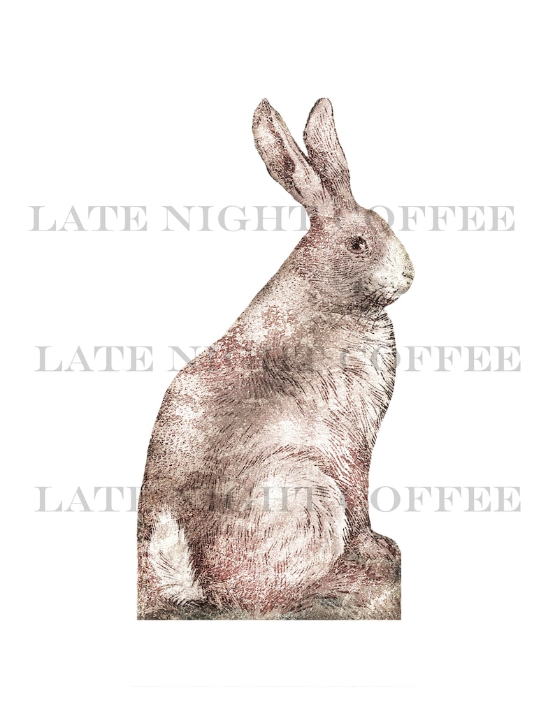 Rabbit Printable for Cards Journals Craftsside Viewssmall Medium Large ...