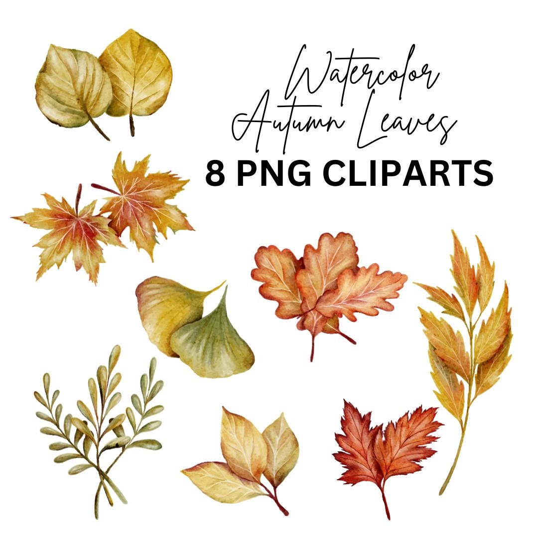 8 Watercolor Autumn Leaves Cliparts | Hi-res PNG Files | Perfect for ...