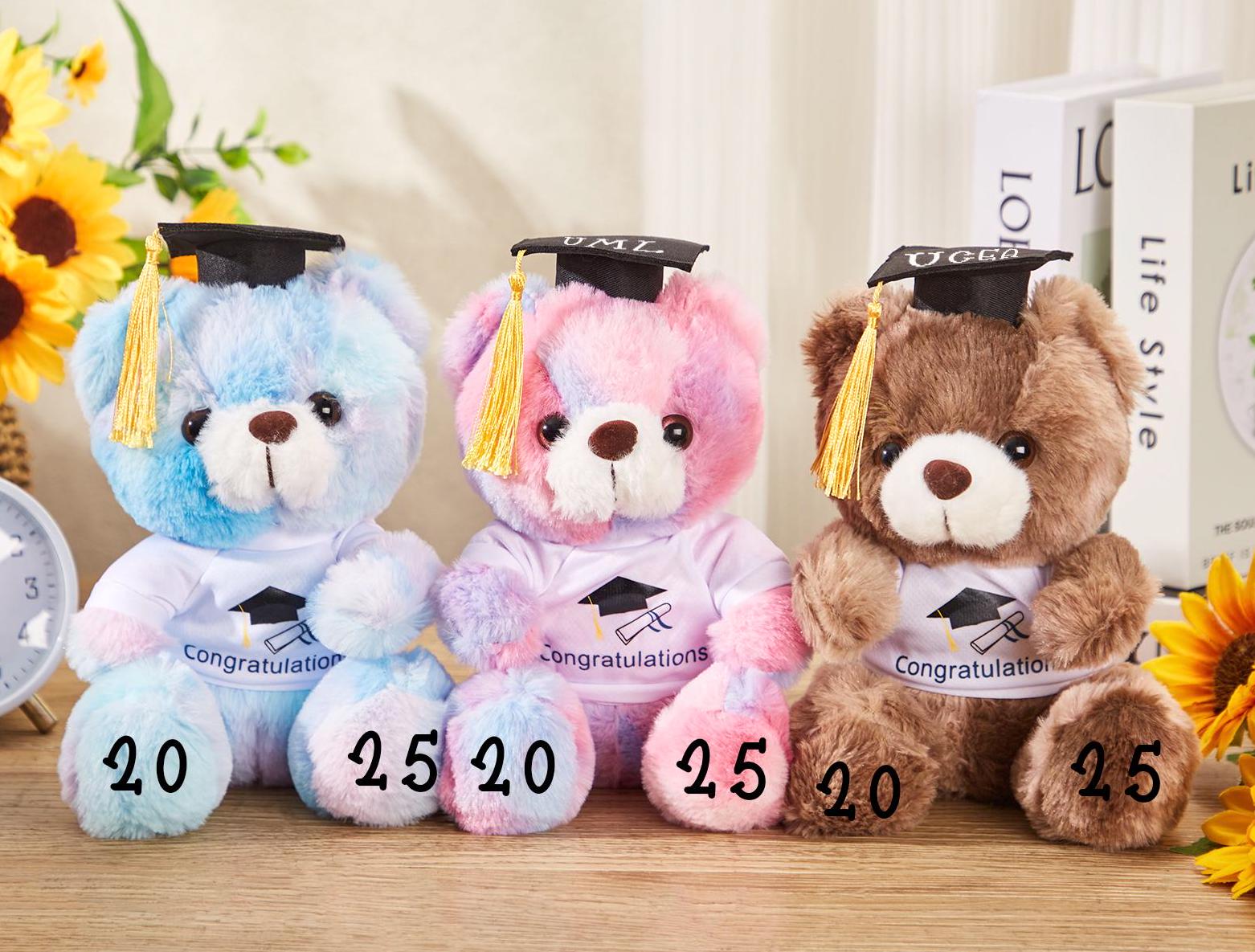 Personalized Graduation Bear 2025,graduation Teddy Bears,custom Gift ...