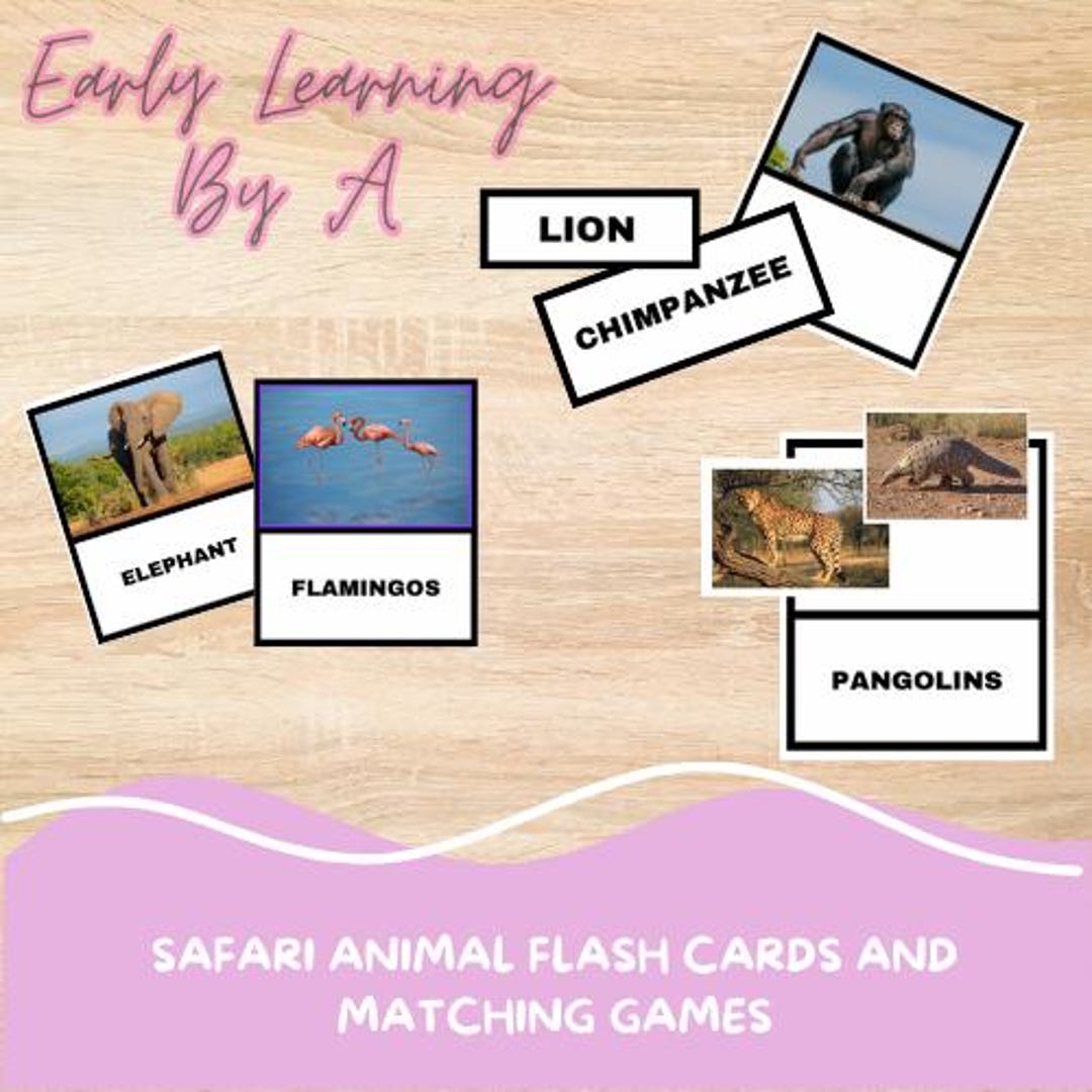 Safari Animals Flashcards Printable Activity for Preschool Vocabulary ...