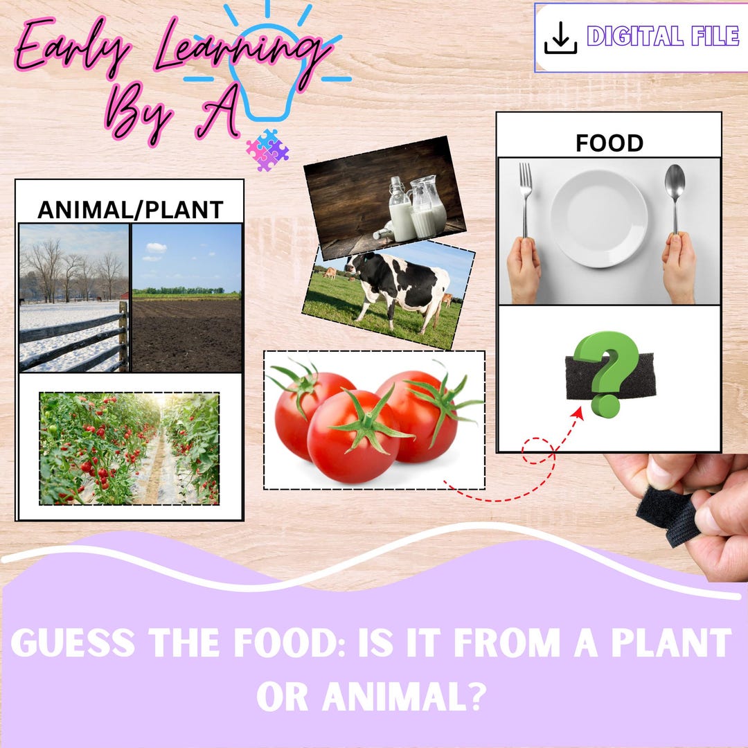 Guess the Food Origin: Plant or Animal? Educational Montessori Activity ...