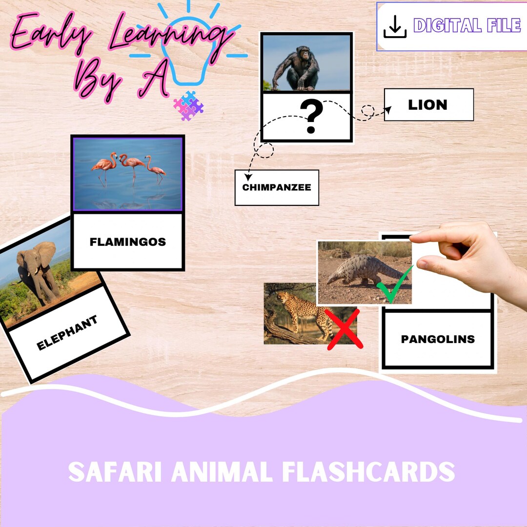Safari Animals Flashcards Set | Name Matching & Sorting Games - Etsy