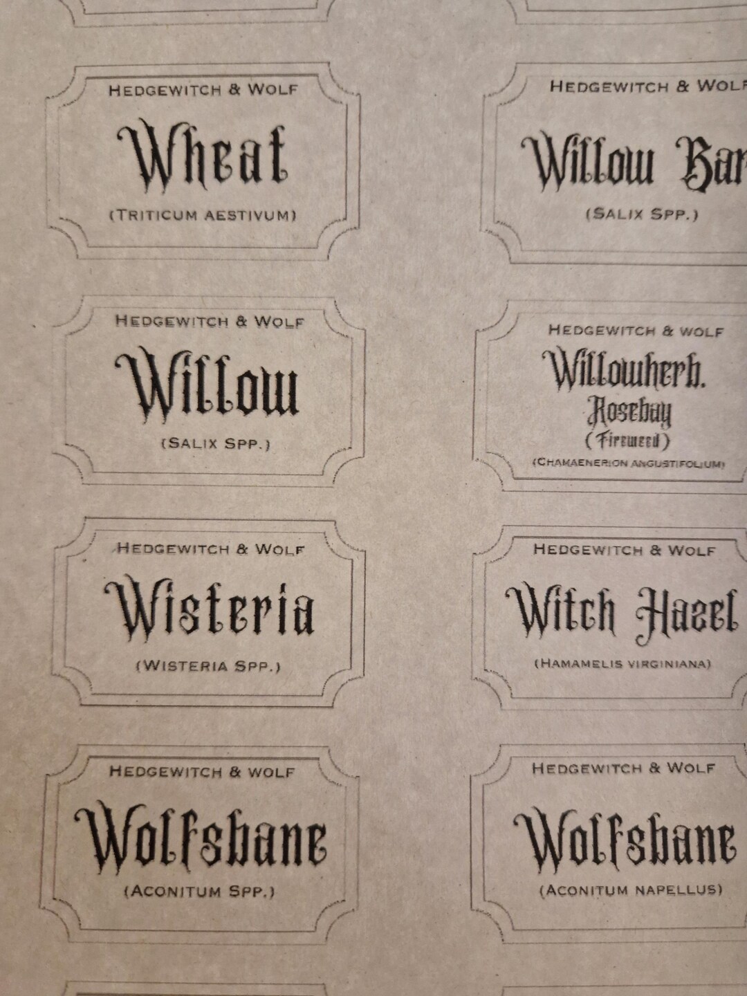Witchy Spice Jar Labels: Vintage Apothecary Herb Labels (digital ...