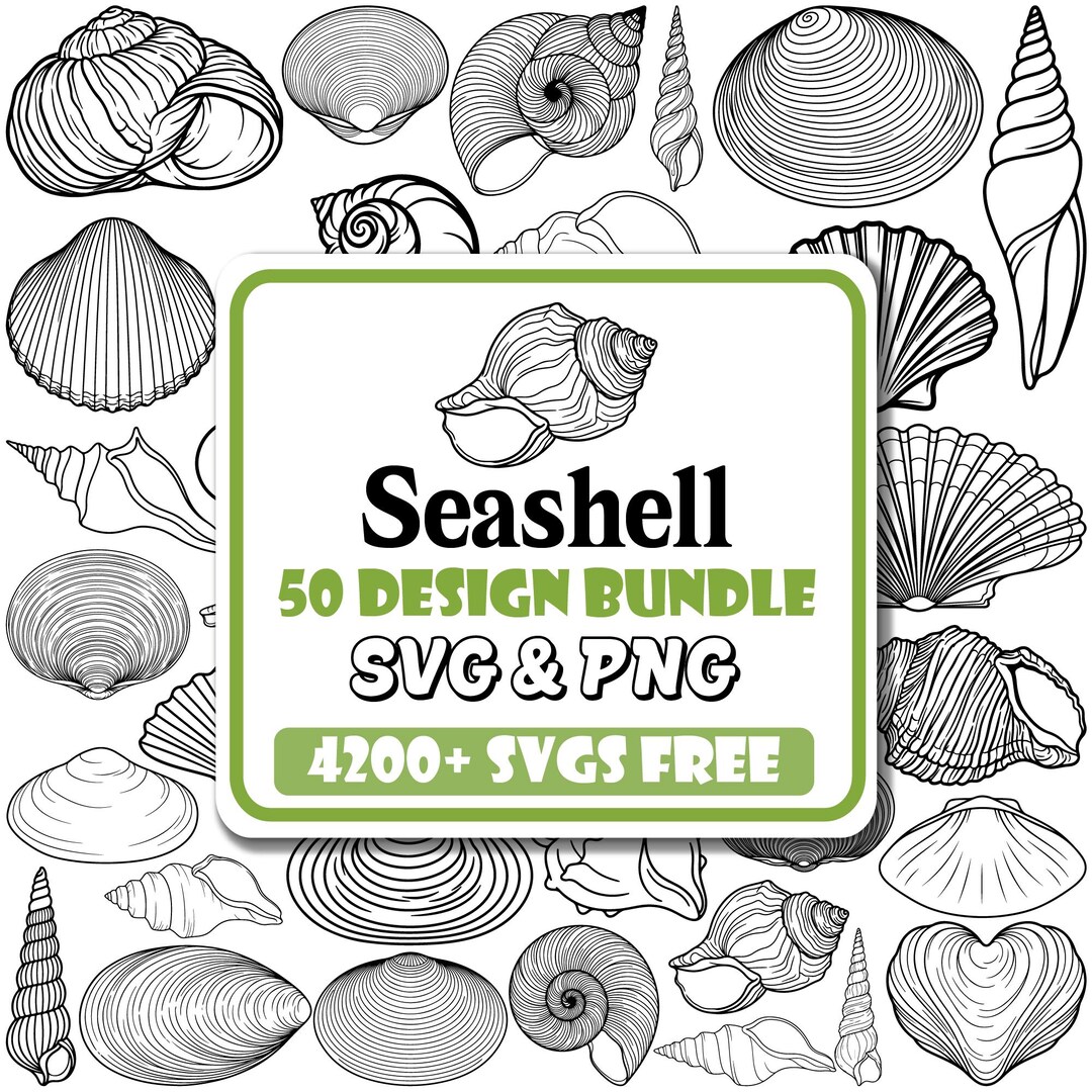 Seashell SVG Bundle |vintage Seashell Svg |sea World Svg |tropical ...