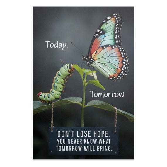 Butterfly And Hope Quotes