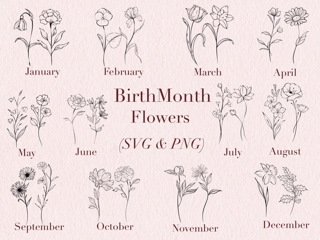 Birth Month Flower SVG Bundle: Floral Designs (SVG & PNG), Digital ...