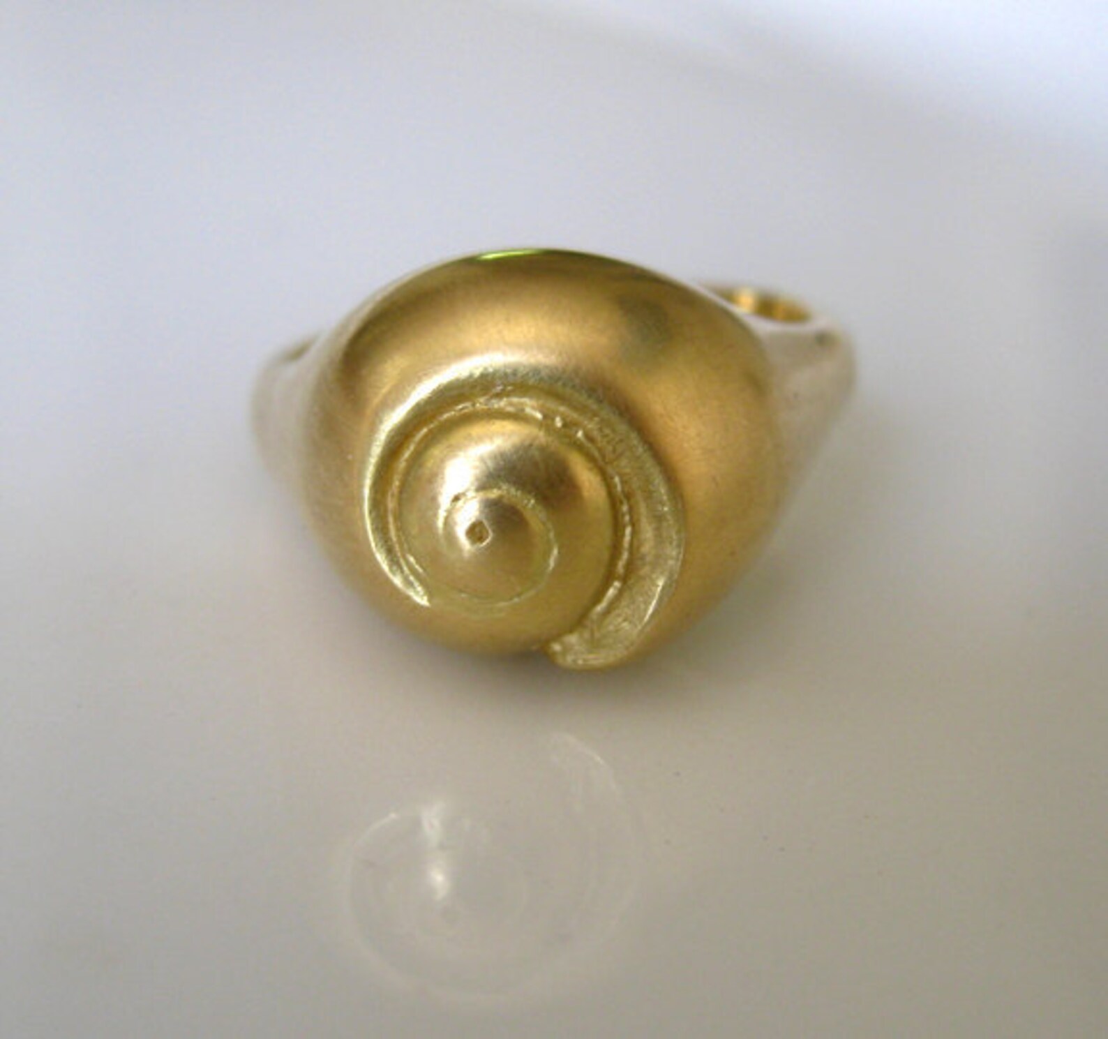 Gold Shell Ring Small 18k Hatteras Snail - Etsy
