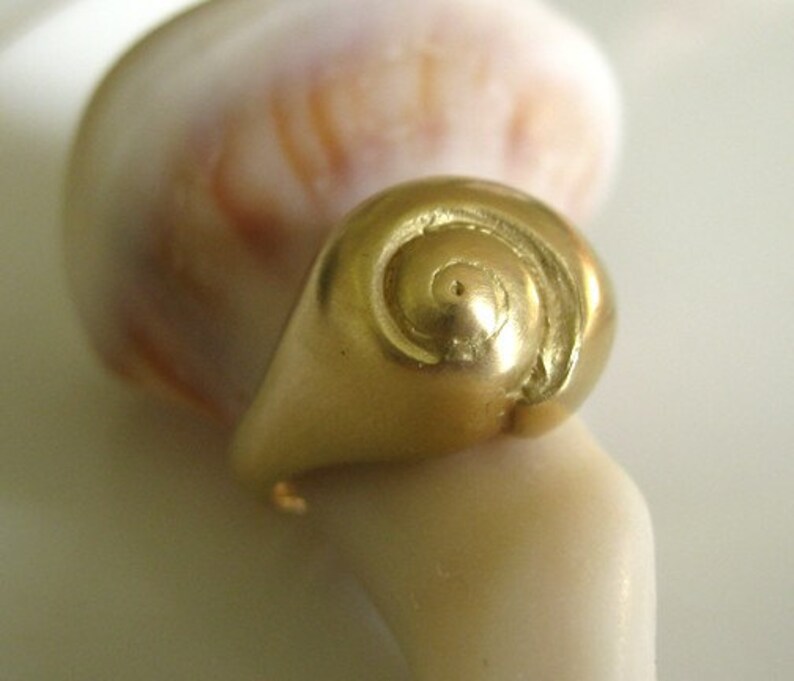 Gold Shell Ring Small 18k Hatteras Snail - Etsy