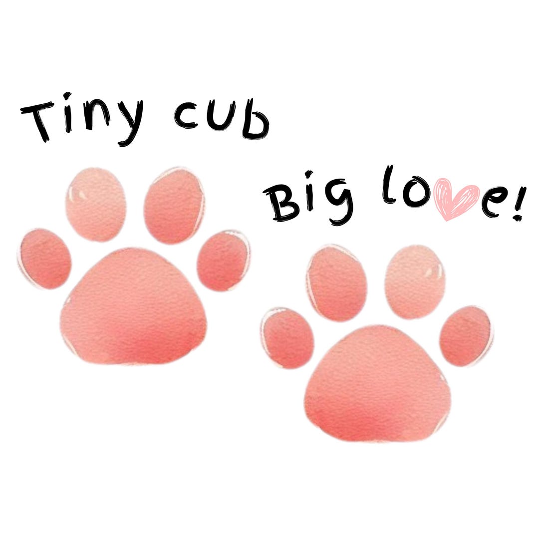 Cub Paw Print Clipart Set Baby Animal Paws + Quote Transparent & Non ...