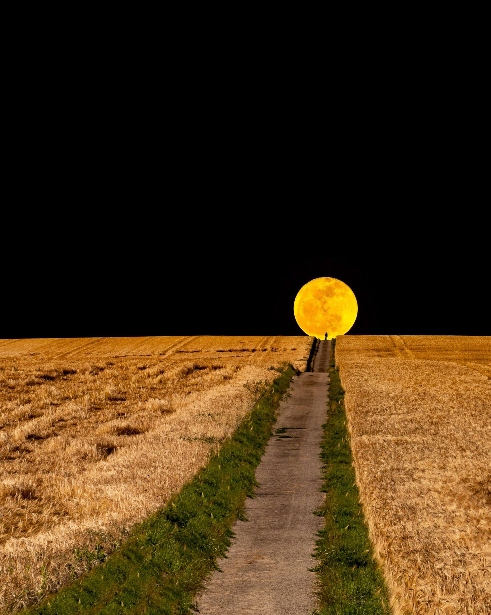 Moon Path Art Print, Golden Field Poster - Etsy