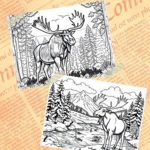 Moose Wonderland: Stunning Coloring Pages for Stress Relief & Fun - Etsy