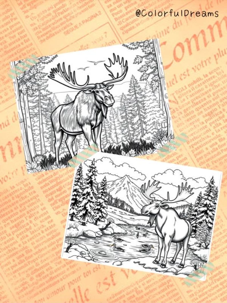 Moose Wonderland: Stunning Coloring Pages for Stress Relief & Fun - Etsy