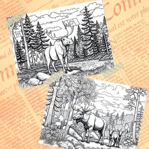 Moose Wonderland: Stunning Coloring Pages for Stress Relief & Fun - Etsy