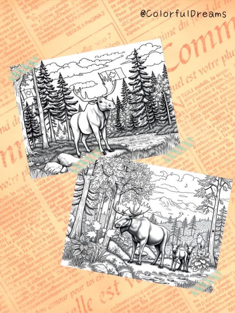Moose Wonderland: Stunning Coloring Pages for Stress Relief & Fun - Etsy