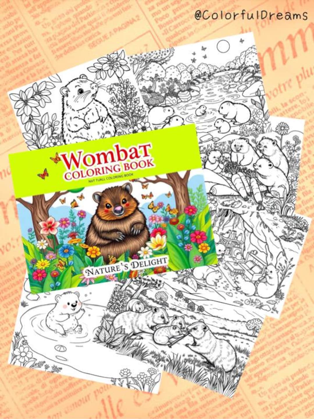 Wombat Colouring Collection - Enjoy a Fun and Cozy Adventure! - Etsy
