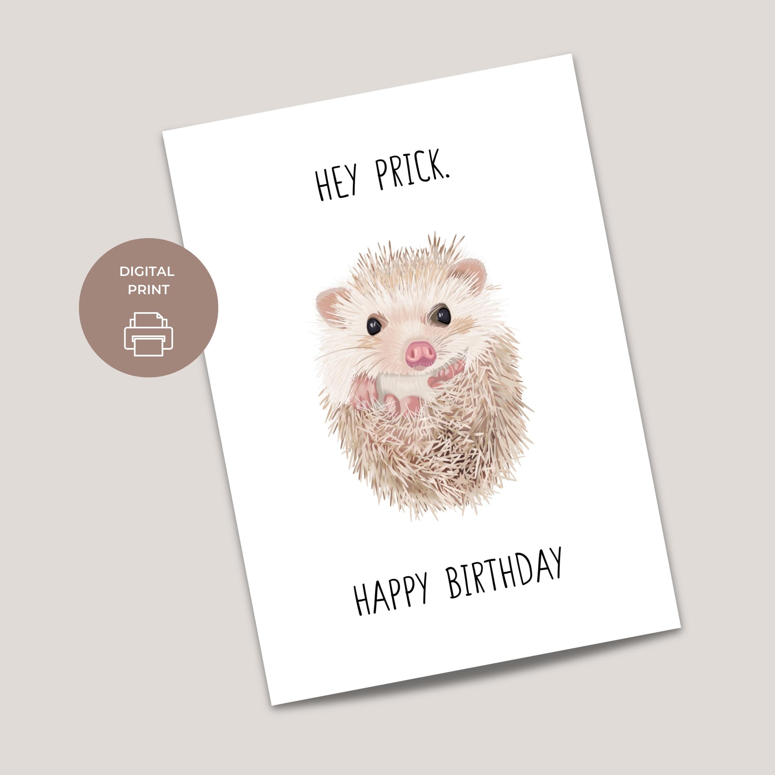 Hedgehog Birthday Card, DIGITAL Download, Printable Mean Birthday Card ...
