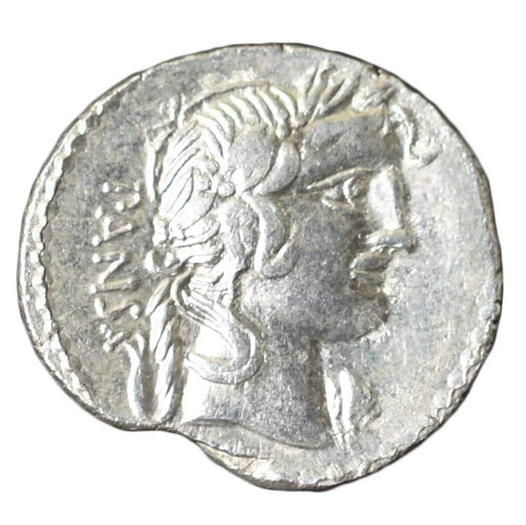 Vibia C Vibius Cf Pansa, Gens Vibia Hand-struck AR Denarius Roman ...