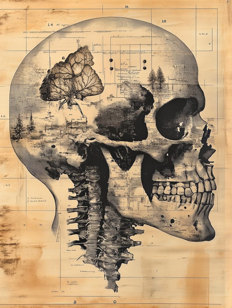 Dark Gothic Decor, Wall Art From the Victorian, Vintage, Gothic Collage ...