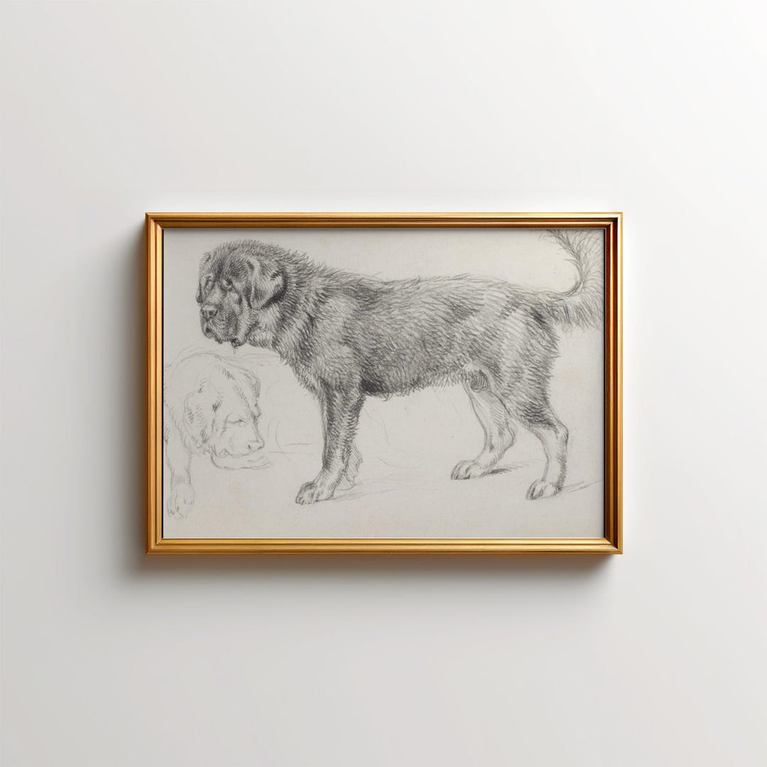 Vintage Dog Sketch Poster, Wall Art of Dog, Antique Drawing of Dog ...