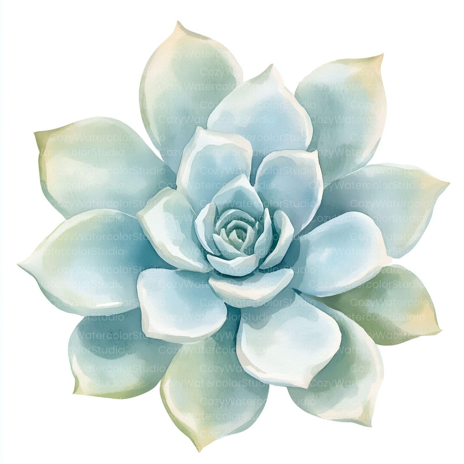 Succulent Watercolor Clipart - Green Plant Art, Cactus Botanical ...