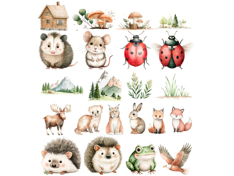 66 Woodland Animals Clipart | Watercolor Forest Friends PNG, Deer Fox ...