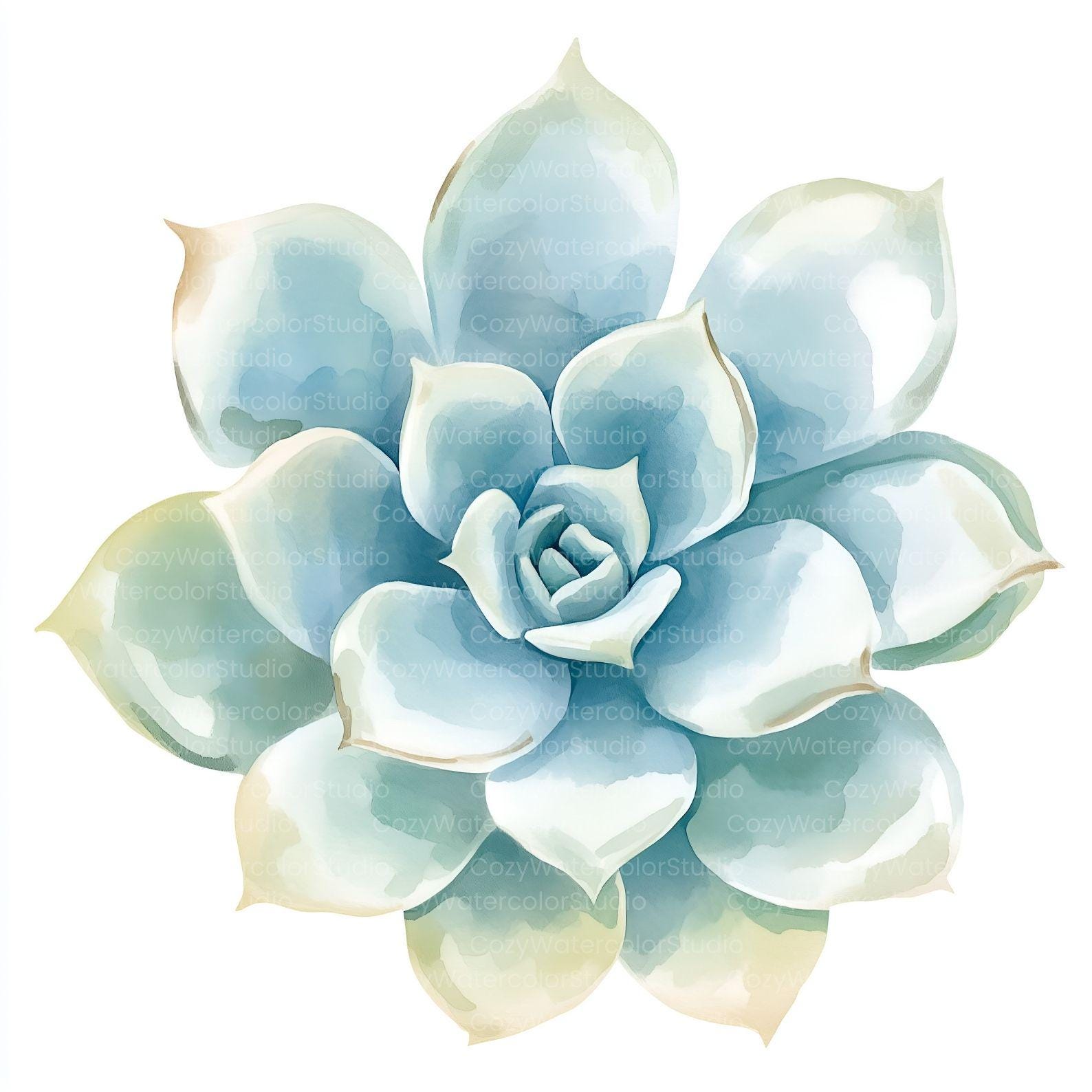 Succulent Watercolor Clipart - Green Plant Art, Cactus Botanical ...