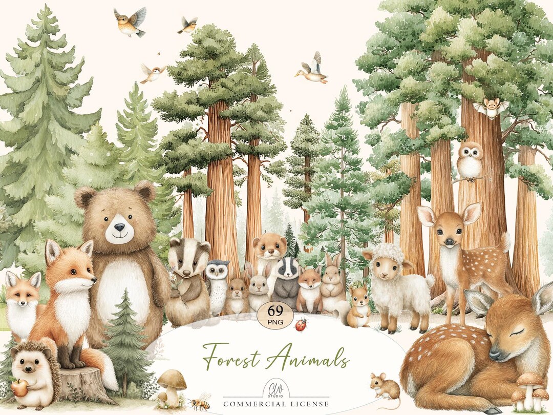 69 Forest Animals Clipart | Woodland Creatures, Baby Animals ...