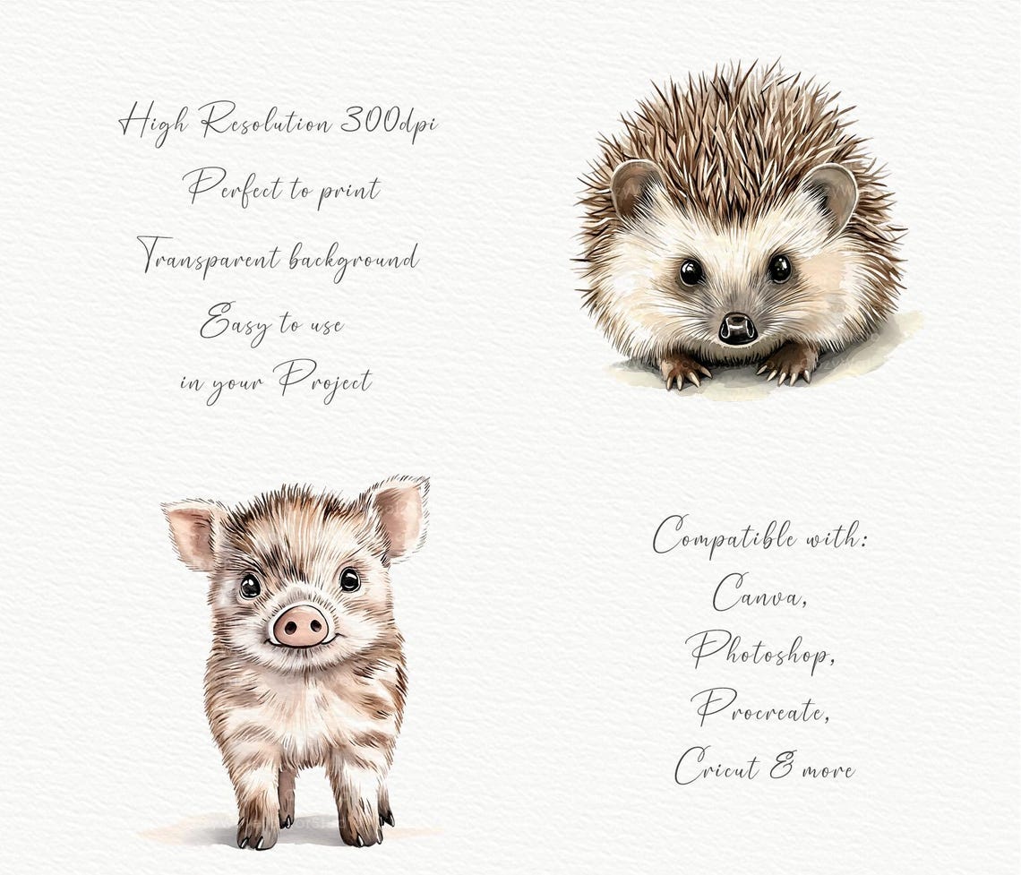 Watercolor Woodland Animals Clipart: Forest Creatures PNG (digital ...
