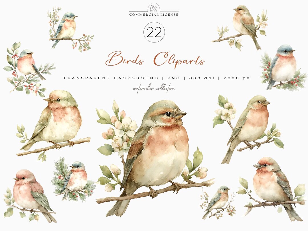 22 Watercolor Birds Clipart | Spring Sparrow PNG, Floral Branches ...