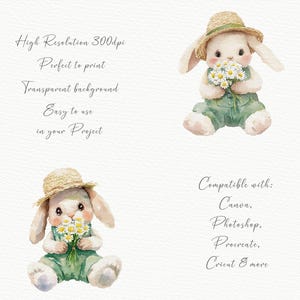 Watercolor Bunny Clipart: Spring Easter Illustration (digital Download ...